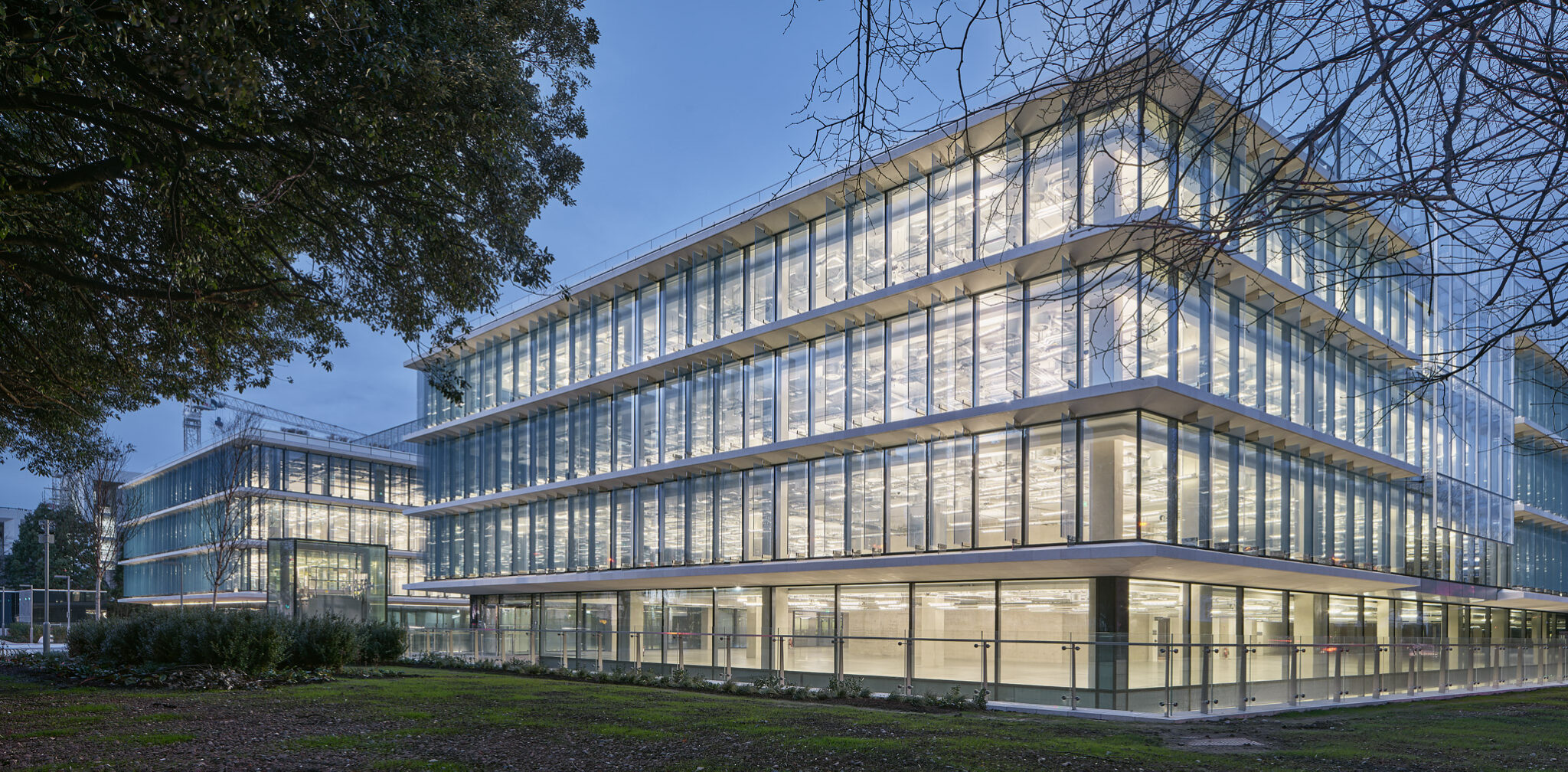 Fibonacci Square - Delmatic